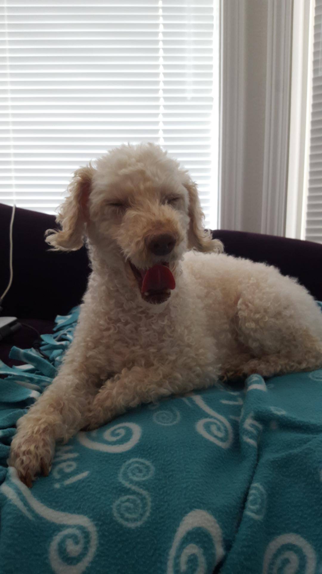 Caught him mid-yawn | Scrolller