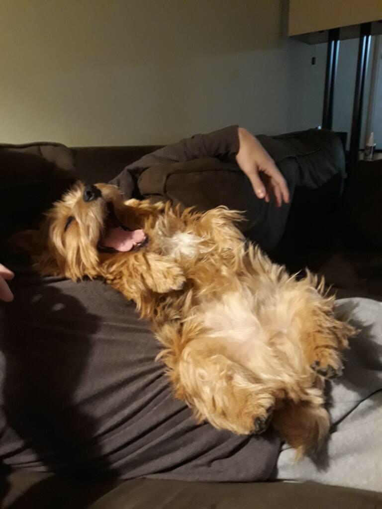 Caught him mid yawn | Scrolller