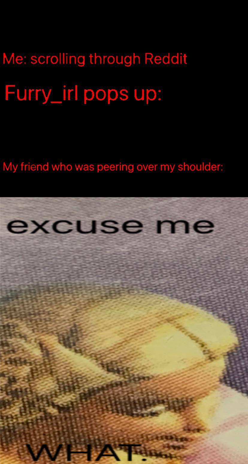 Caught_irl | Scrolller