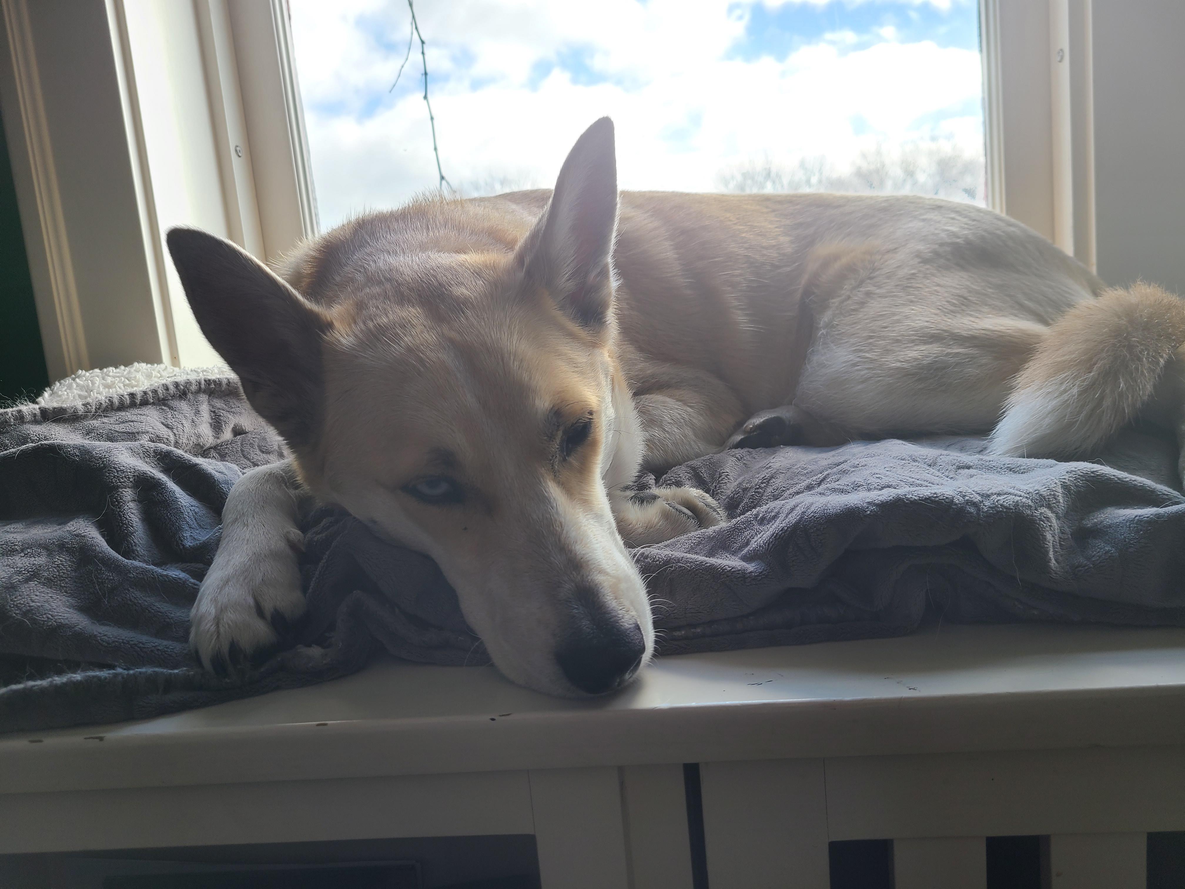 Caught Odd napping | Scrolller