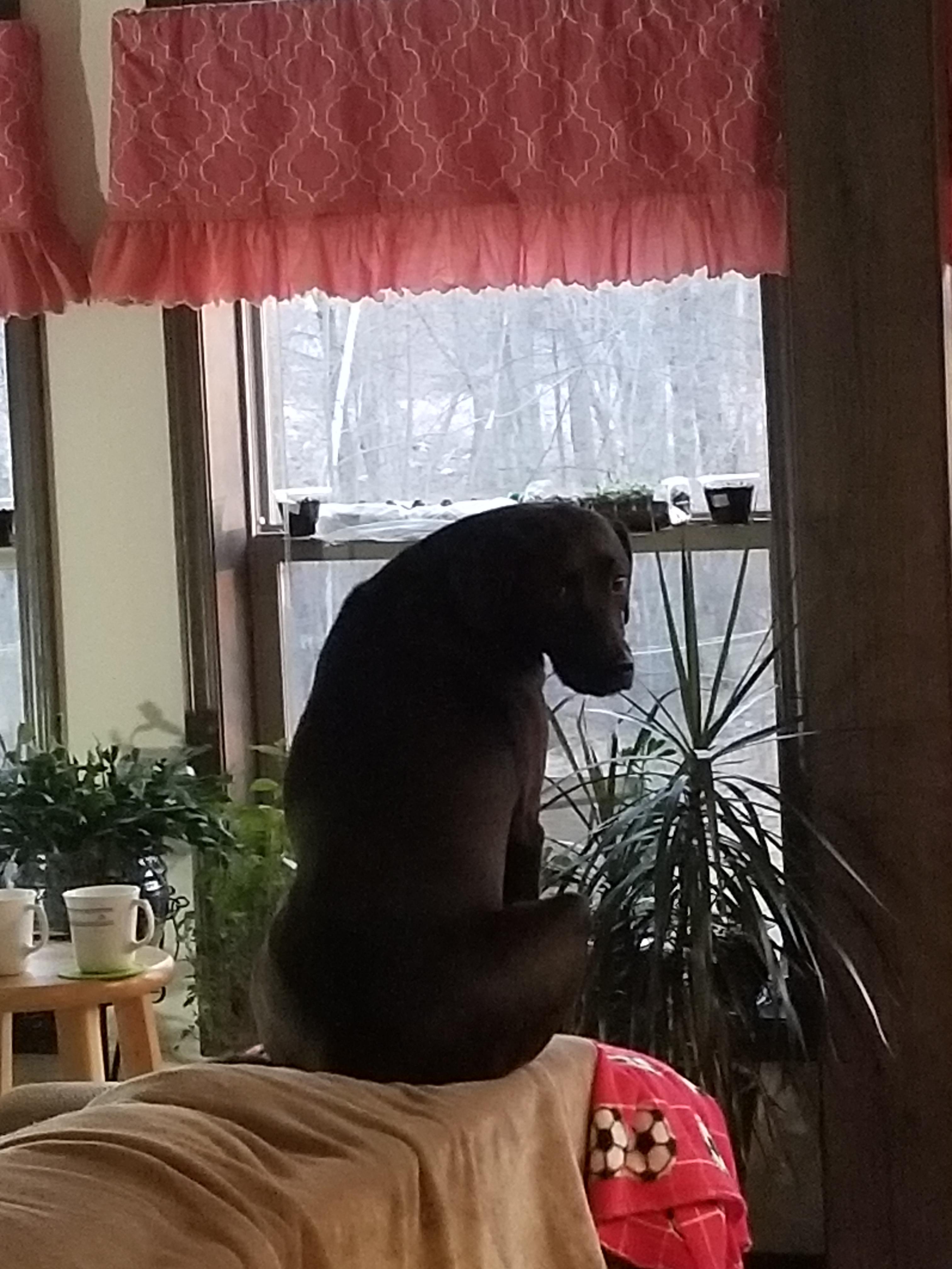 Caught stella lacking | Scrolller