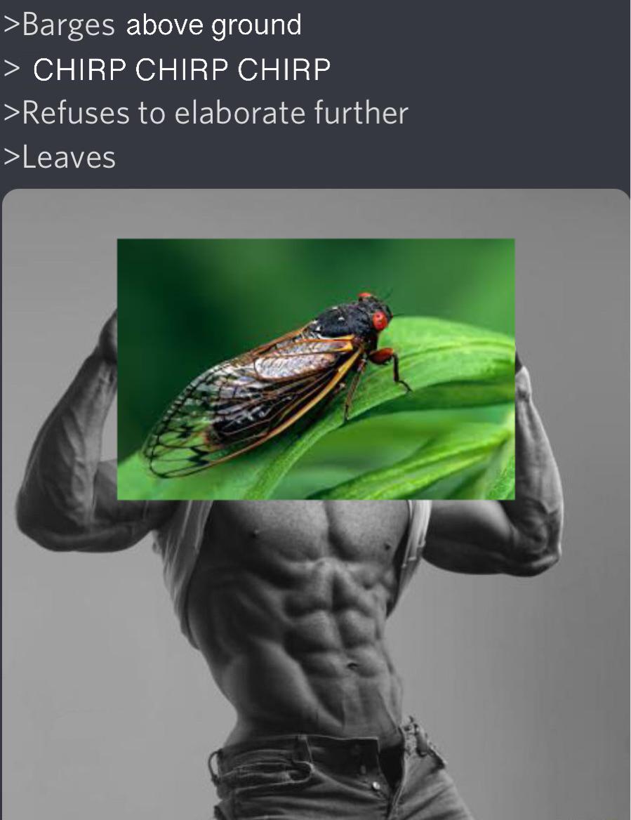 Chad cicadas | Scrolller
