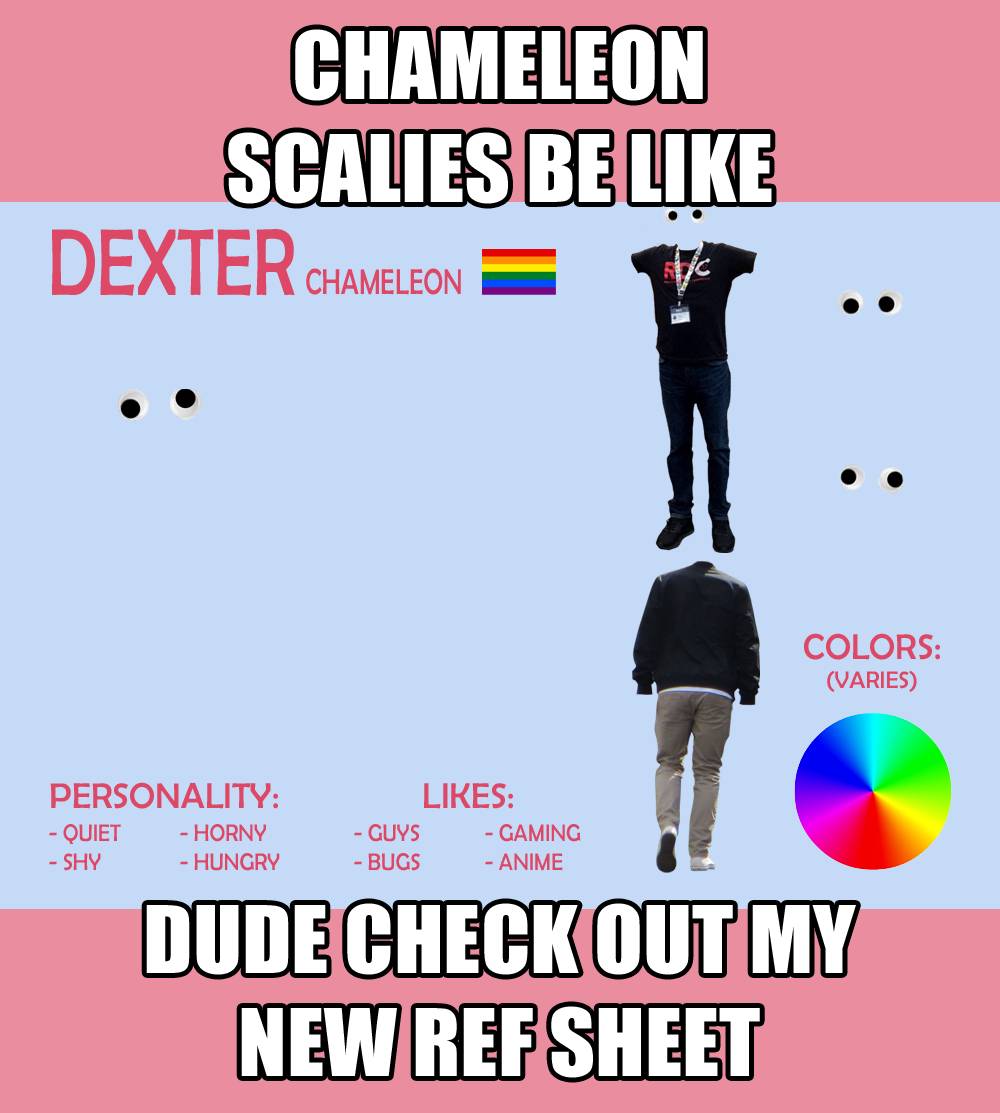 chameleon_irl | Scrolller