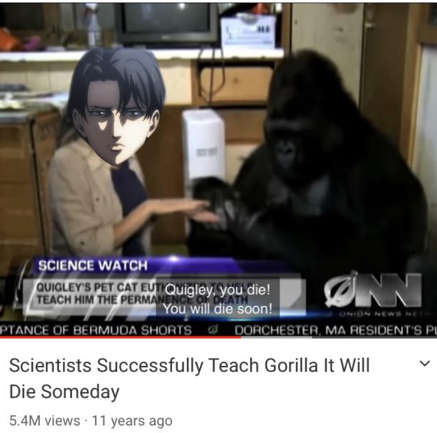 Chapter 137 in a nutshell | Scrolller