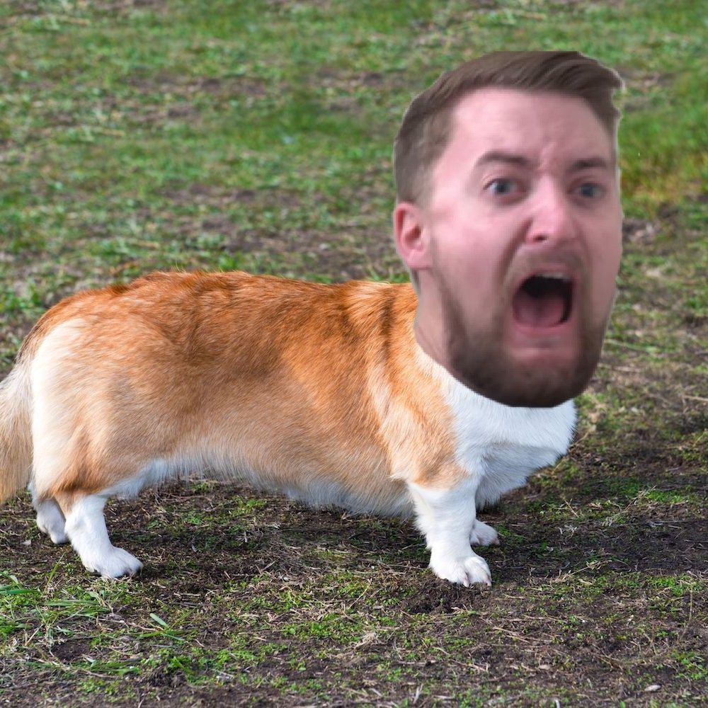 Charles Corgell reverse version | Scrolller