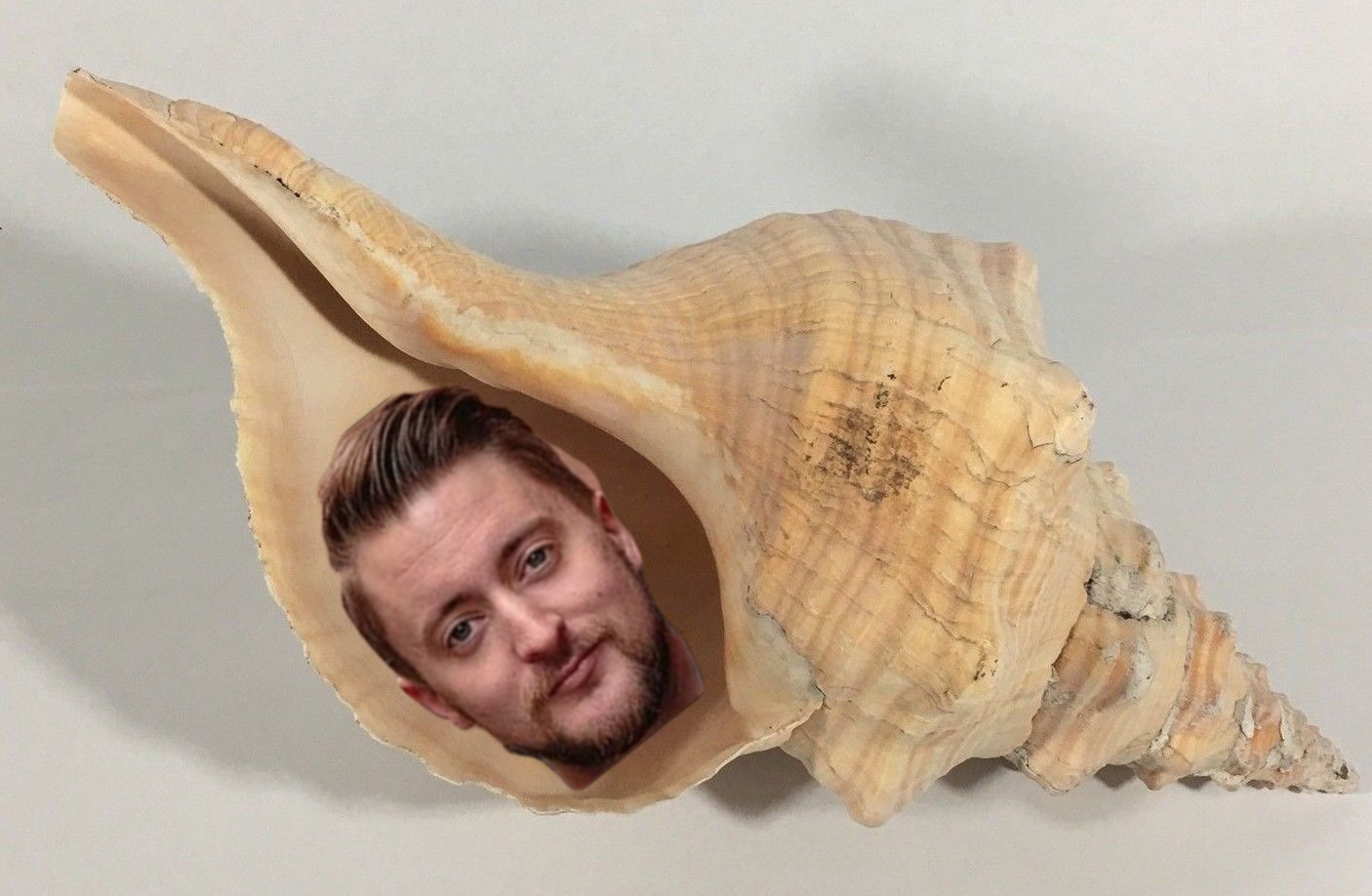 Charles Horn Shell | Scrolller