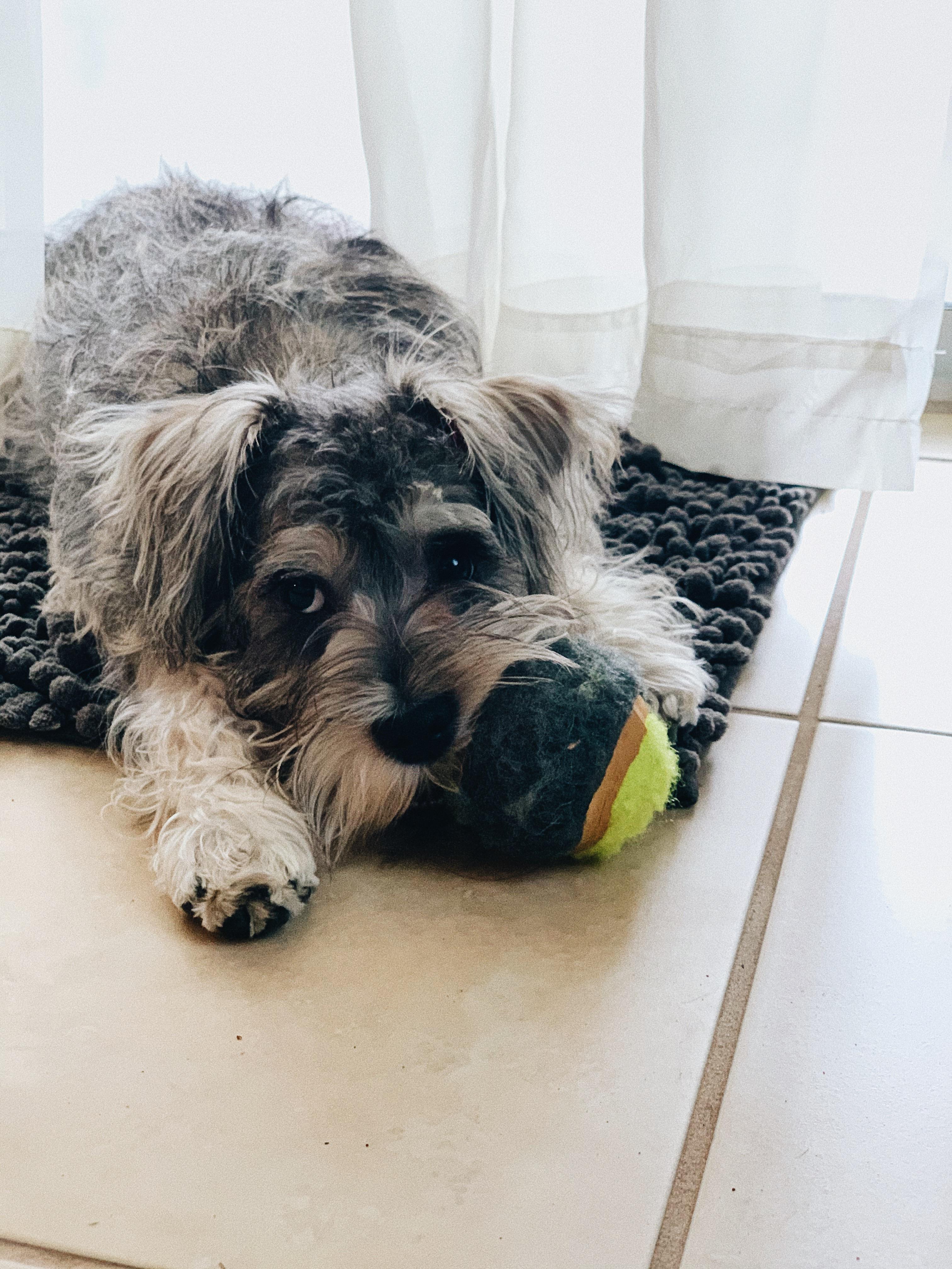 Charlie and his side eye. | Scrolller