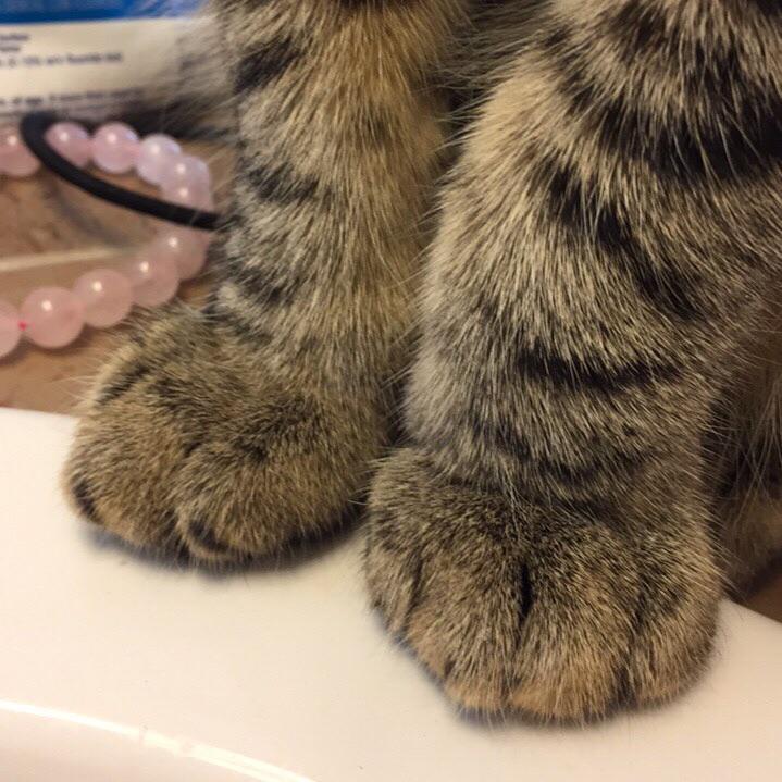 Charlie feetsies ️ | Scrolller