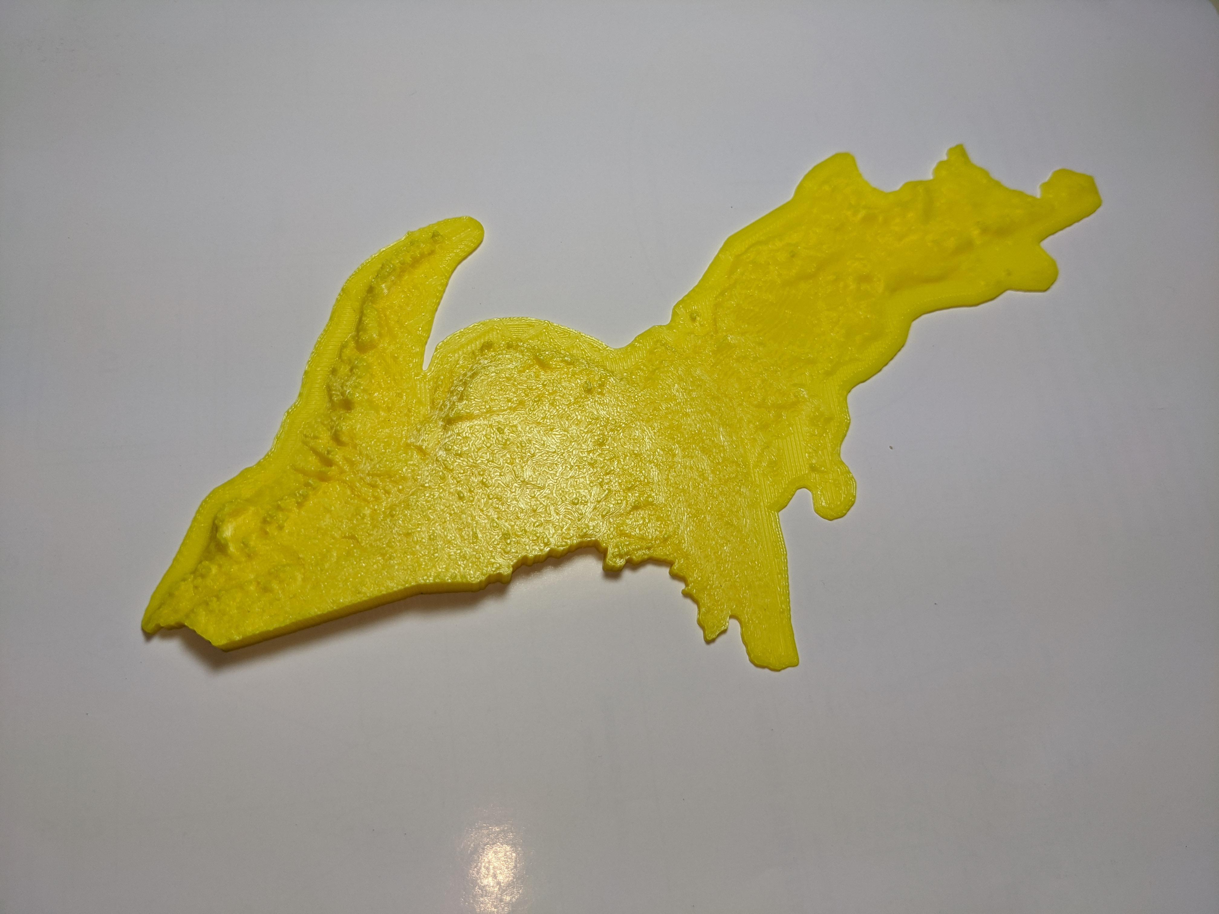 Check out this topographic map of the UP I printed! | Scrolller