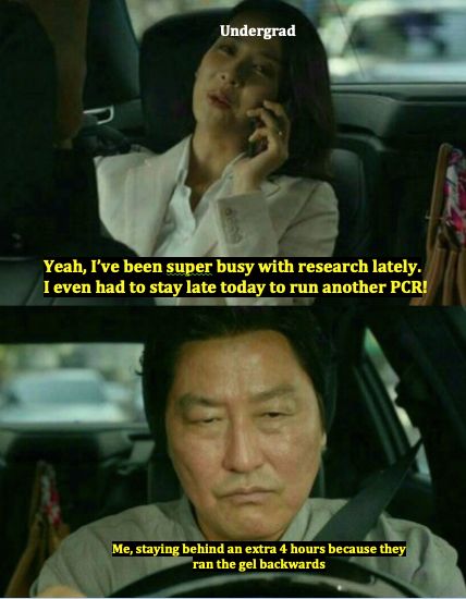 Check yourself before you wreck myself | Scrolller