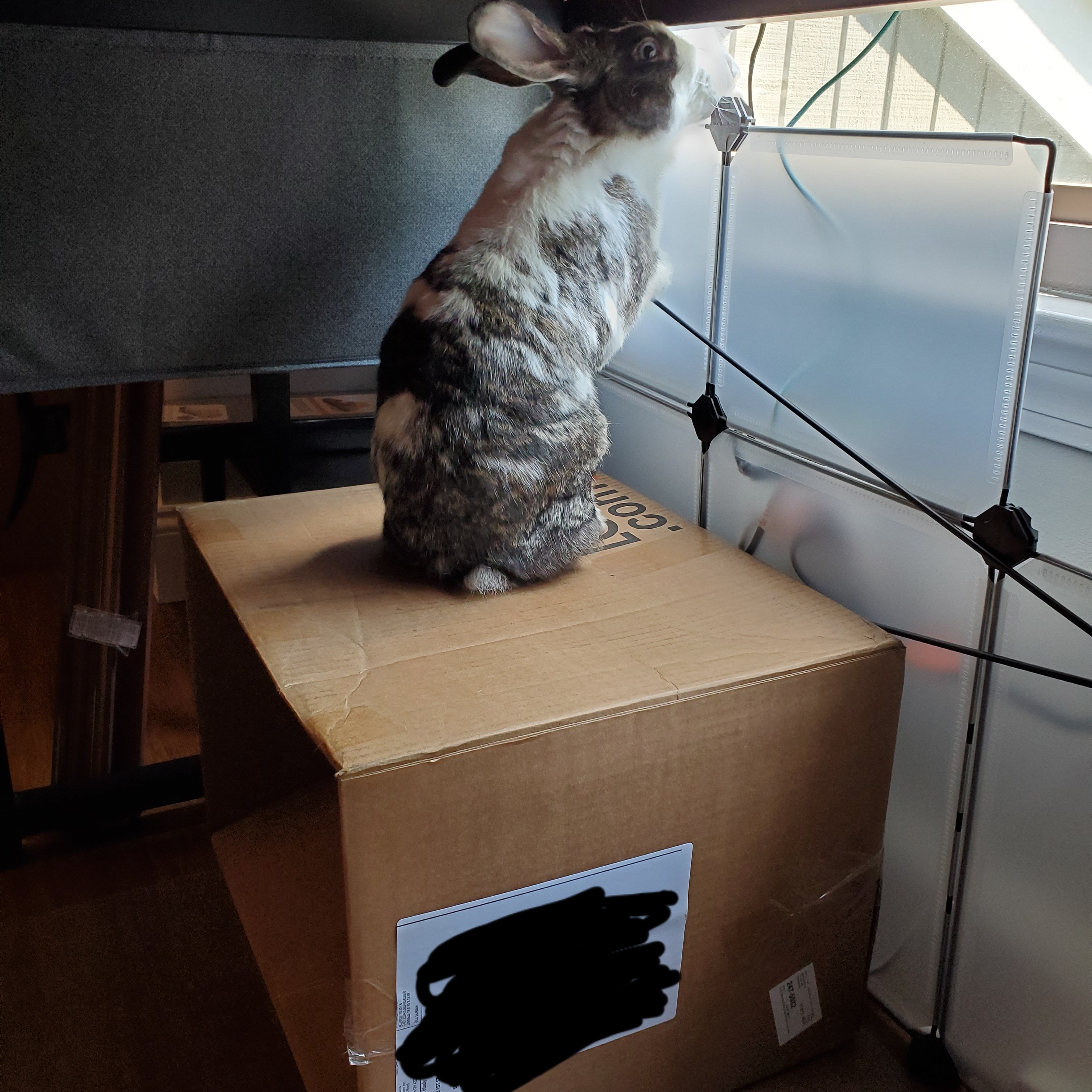 Checking out the view | Scrolller