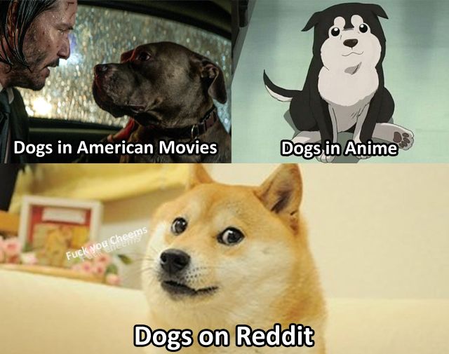 Cheems Bad | Scrolller