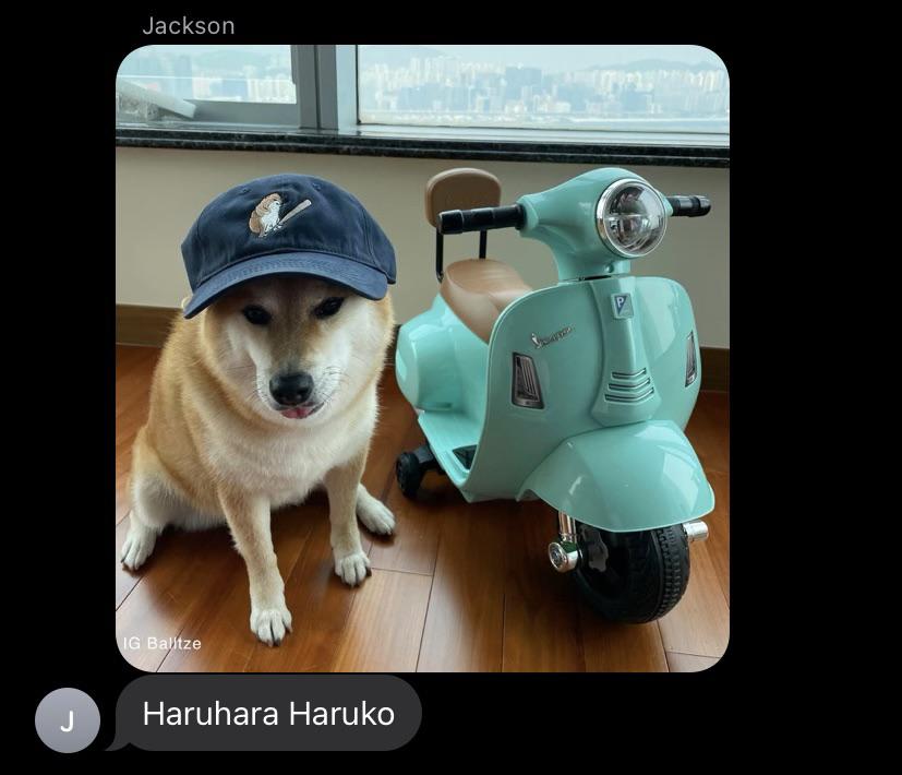 Cheems Haruko | Scrolller