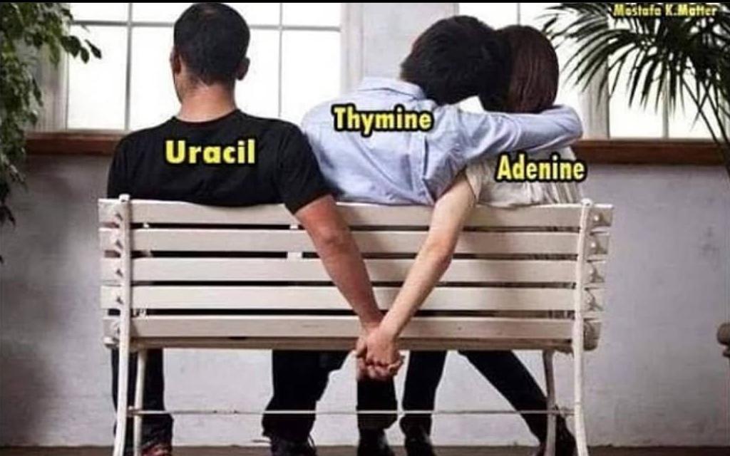 Chemical betrayal | Scrolller