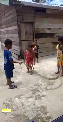 Children playing jump rope with a dead snake | Scrolller
