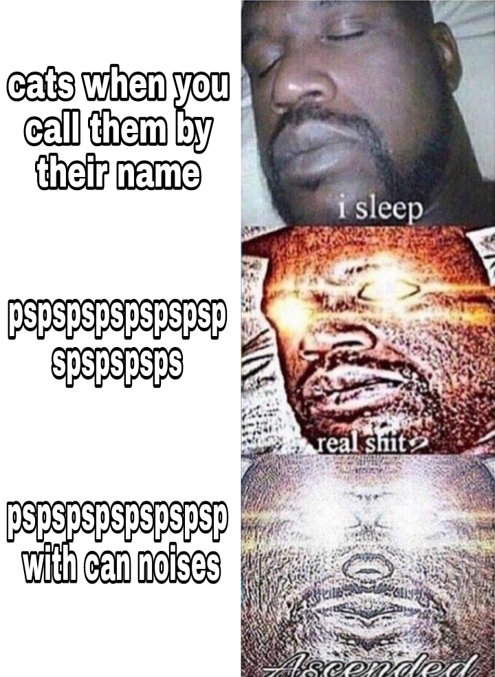 chill dude | Scrolller