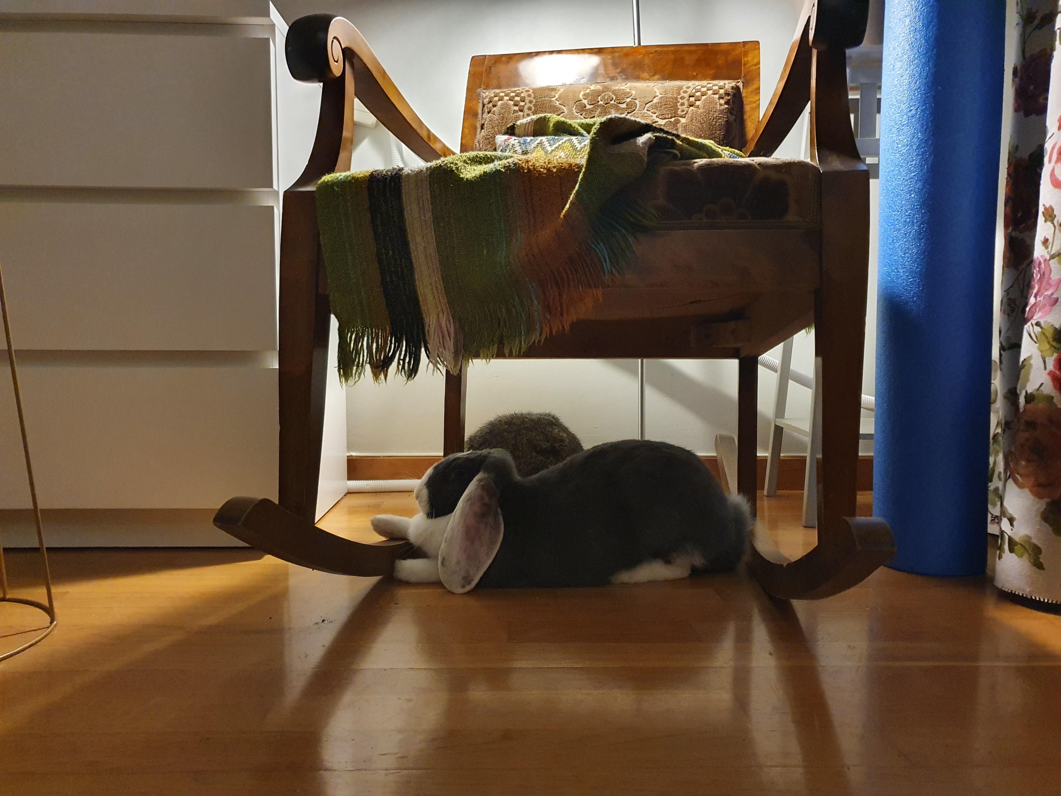 Chin rest | Scrolller