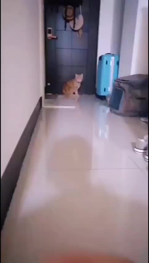 Chin scratches please | Scrolller