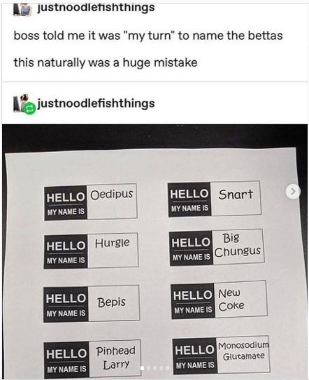 choose your fighter | Scrolller