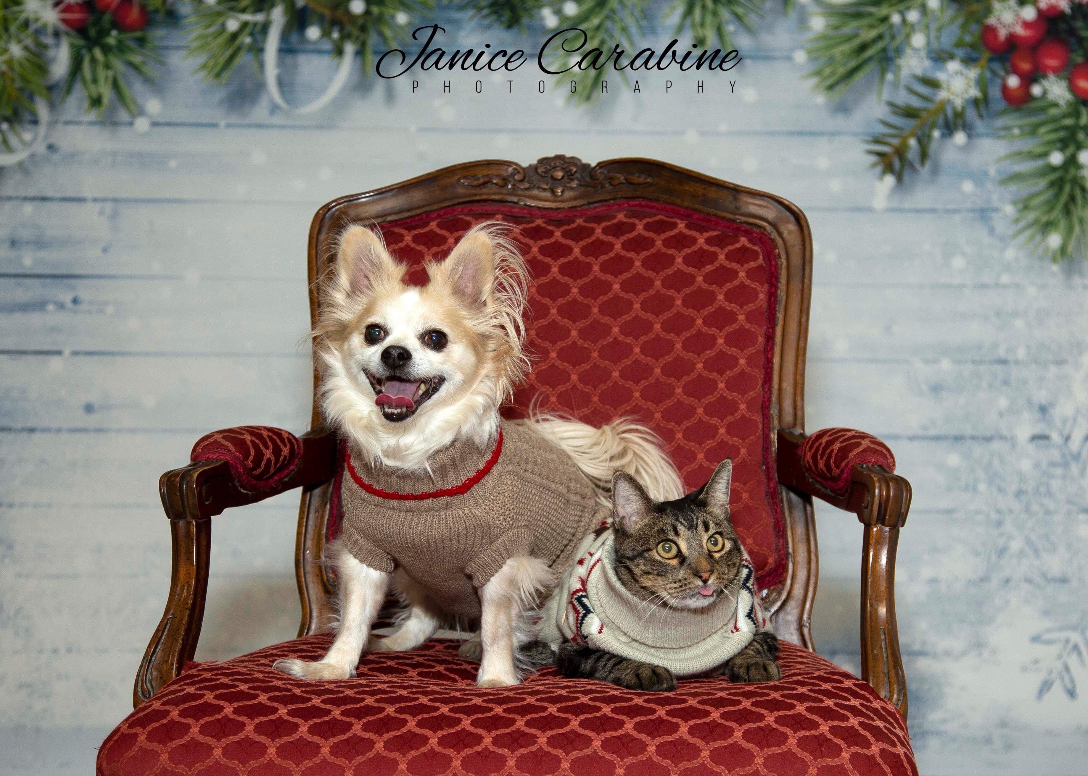 Christmas Card Mlep | Scrolller