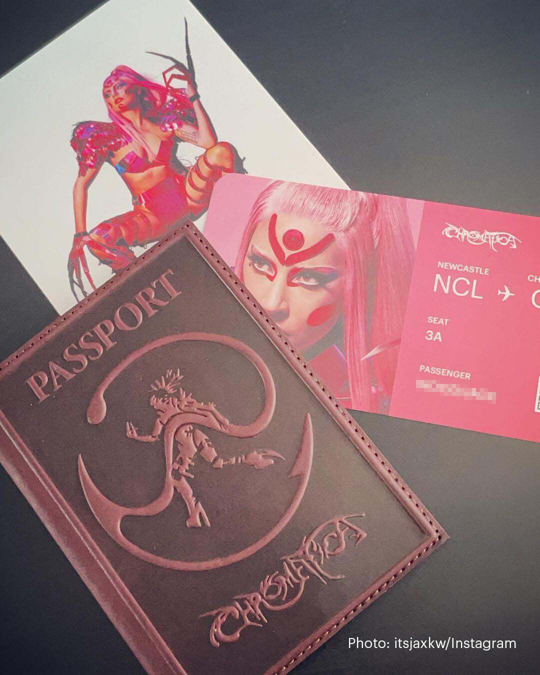 Chromatica Passport Holder | Scrolller