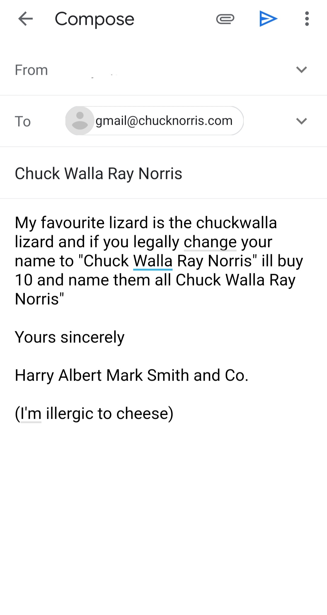 Chuck Walla Ray Norris | Scrolller