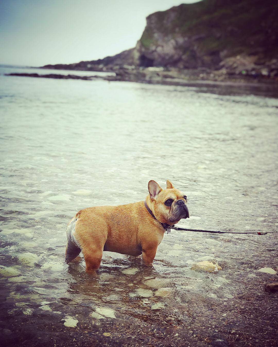 Chunky boy at the beach | Scrolller