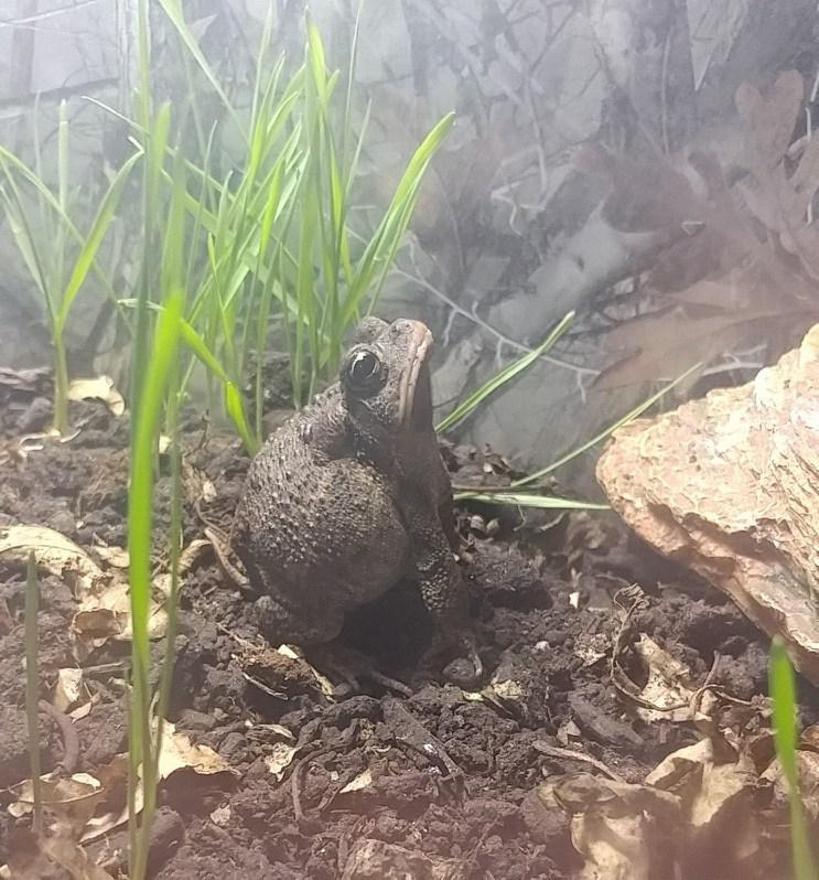 Chunky Candy spots incoming worm.. | Scrolller