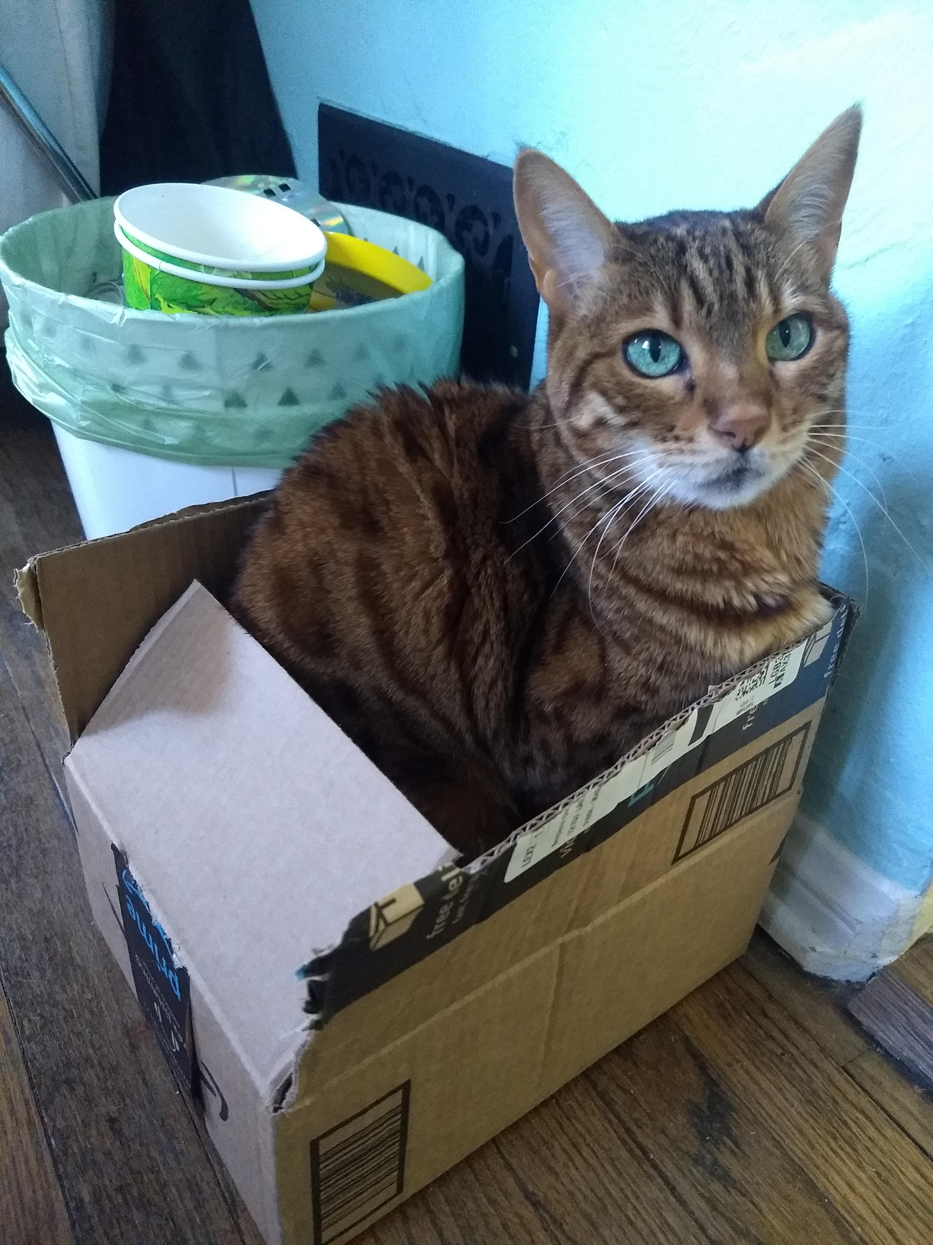 Classic fitting and sitting | Scrolller