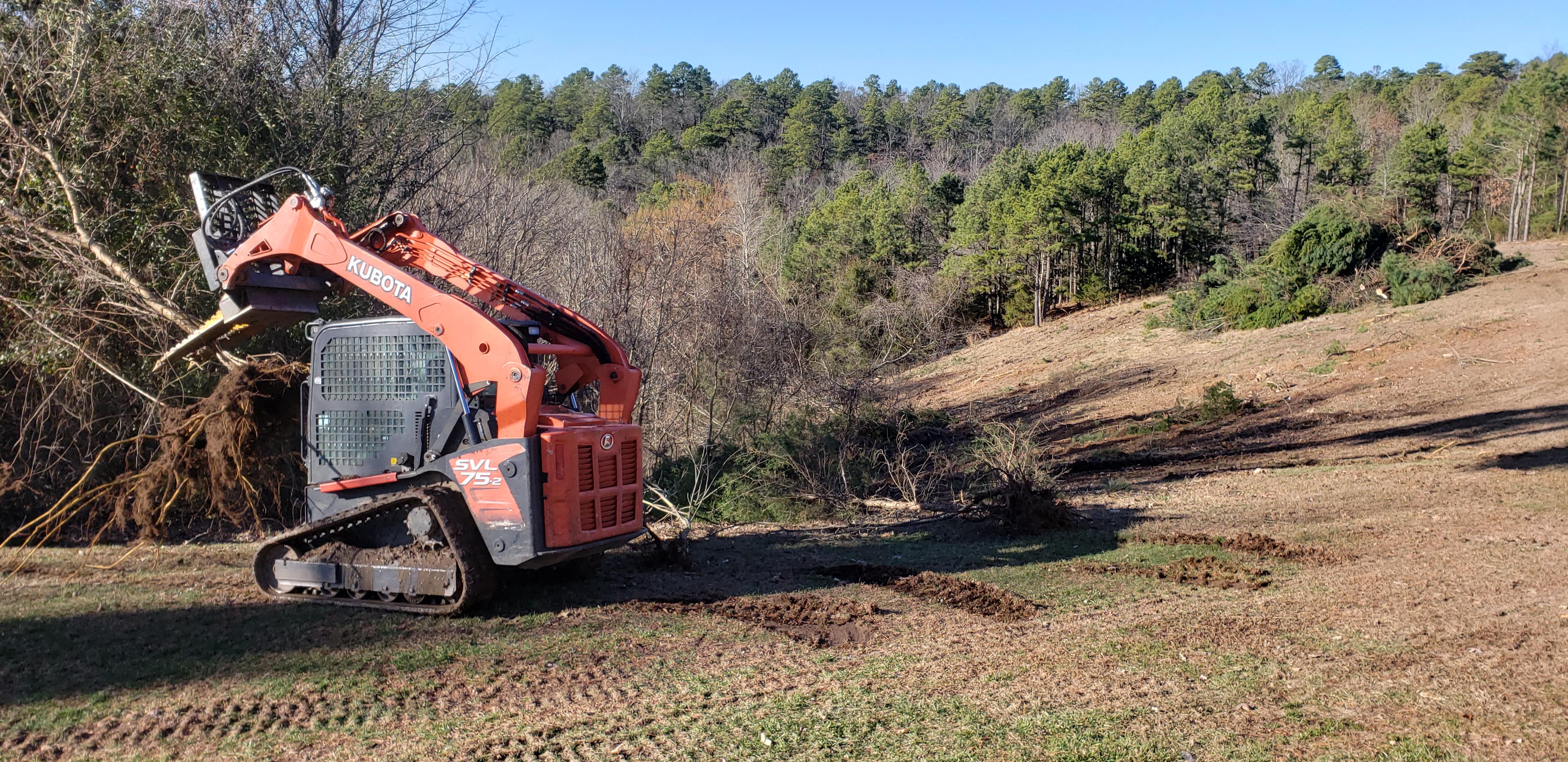 Clearing and thinning an rv park | Scrolller