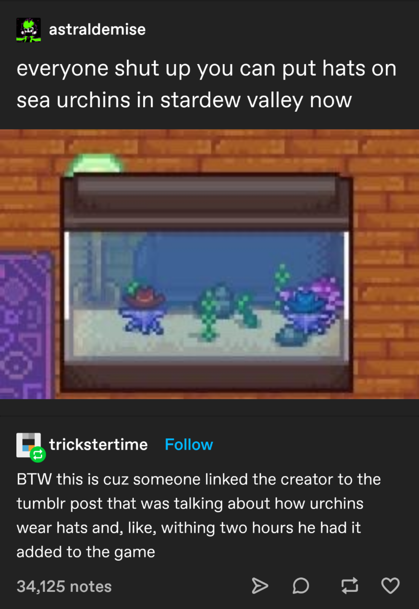 Clothe the urchins | Scrolller