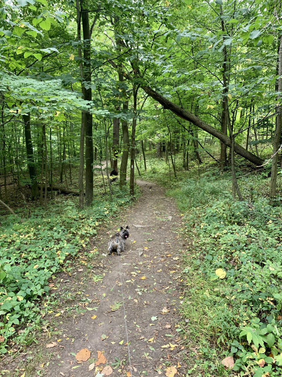 "C'mon Dad! This way!" | Scrolller