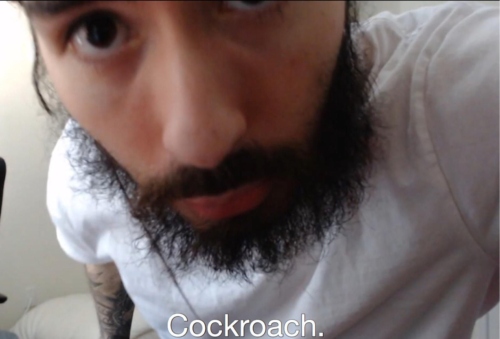 Cockroach. | Scrolller