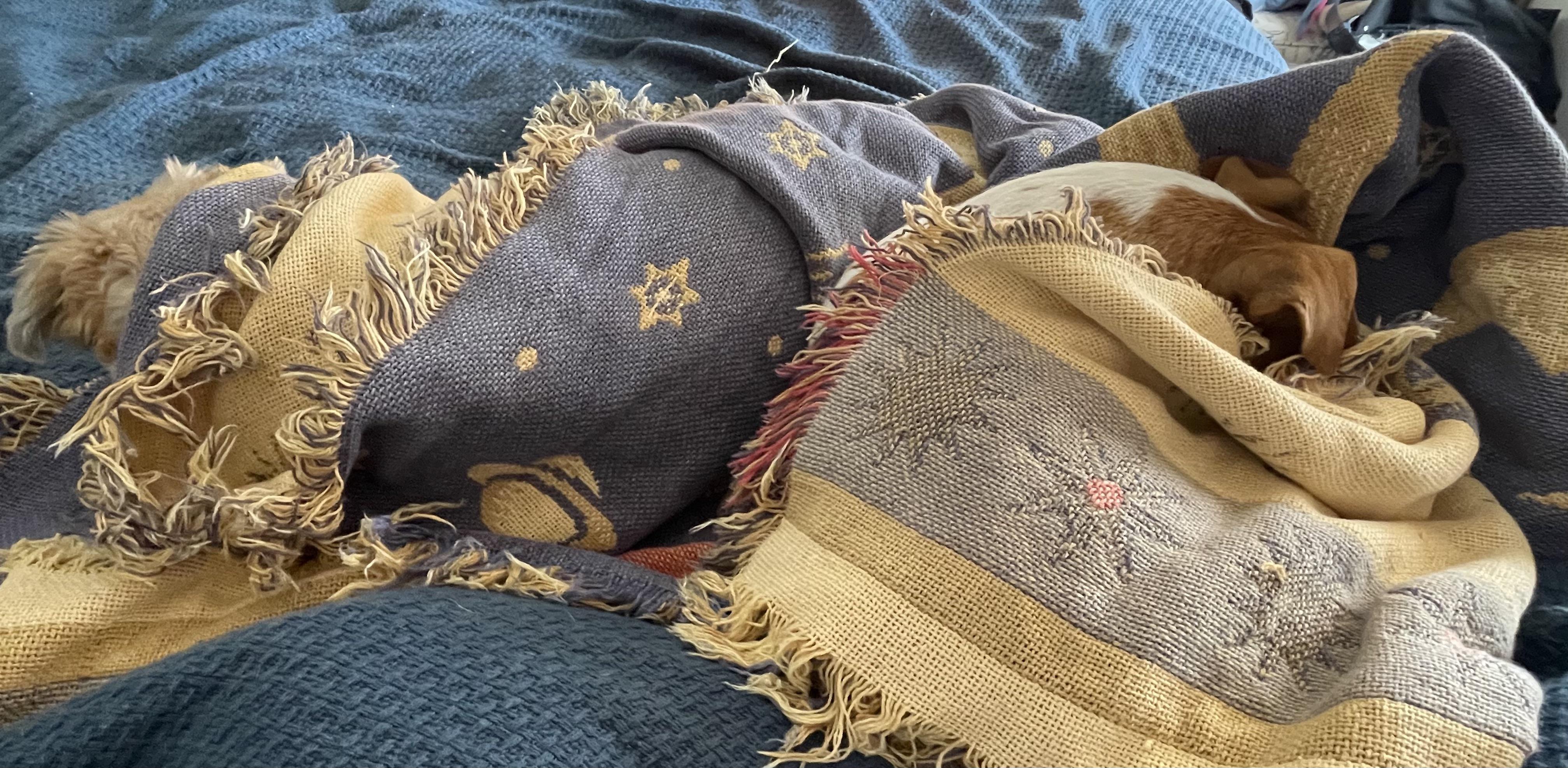 Cold...brrr | Scrolller