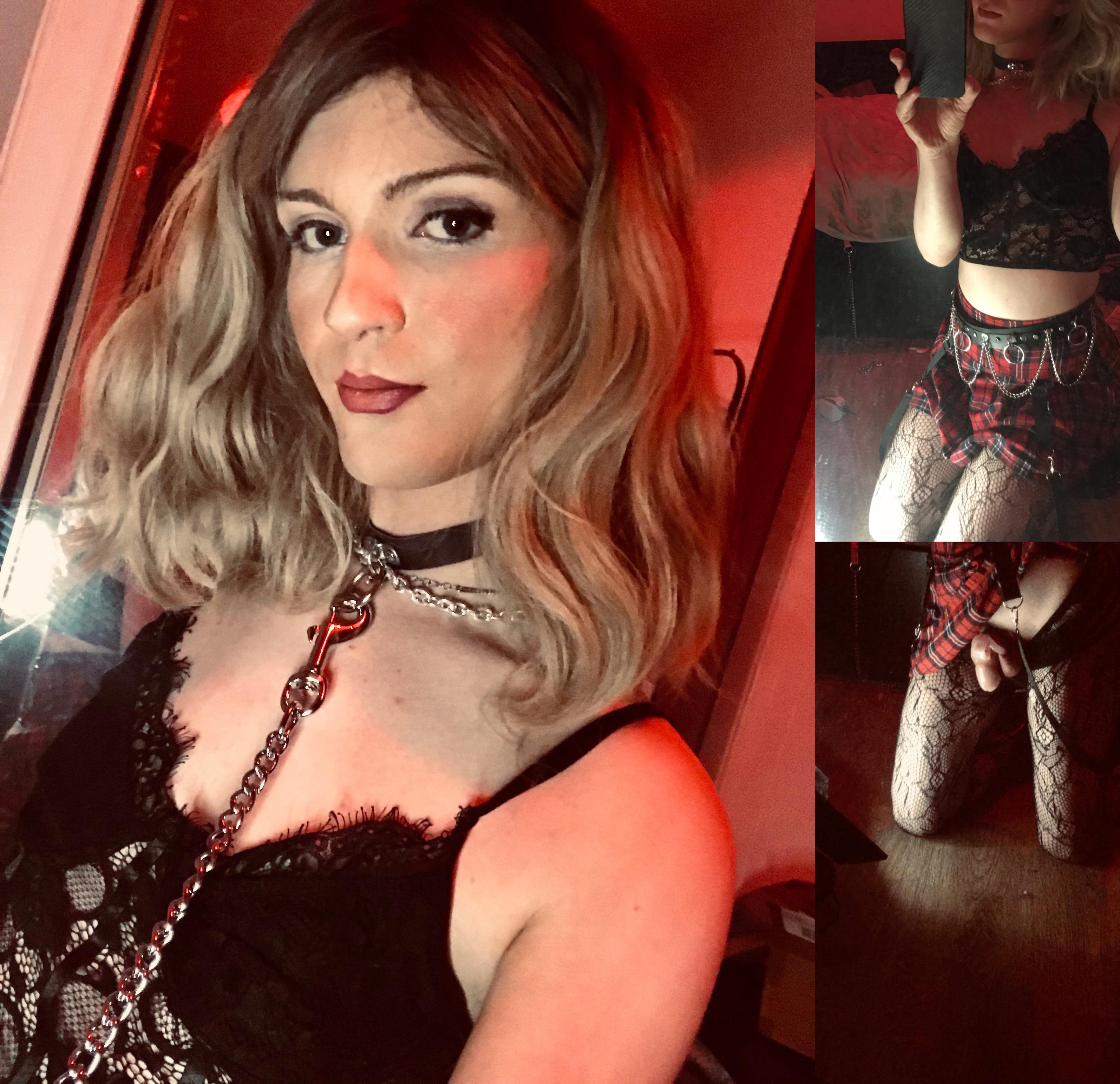 Collared, leashed, caged, and ready for a walk x | Scrolller