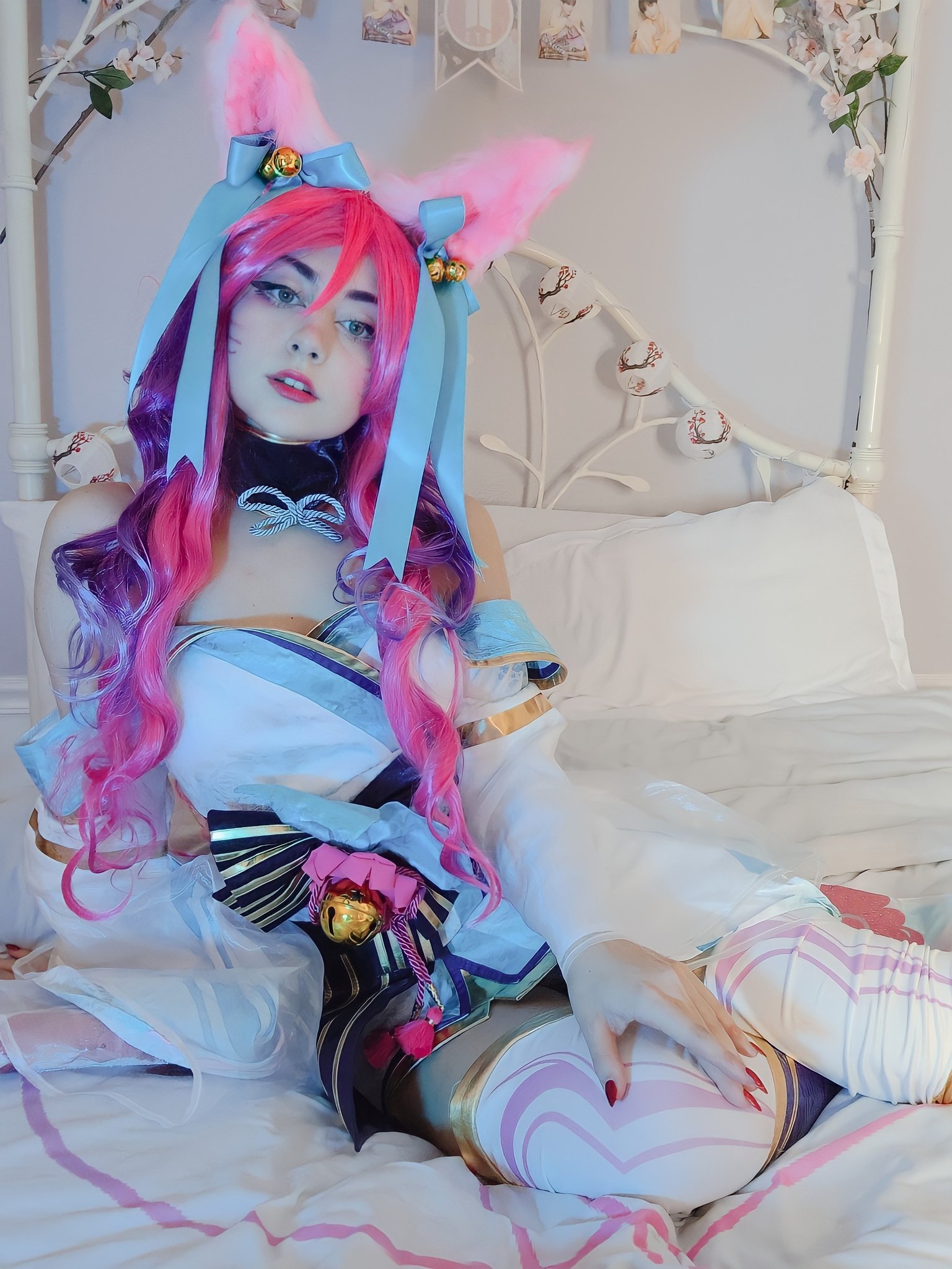 Colourful kitten | Scrolller