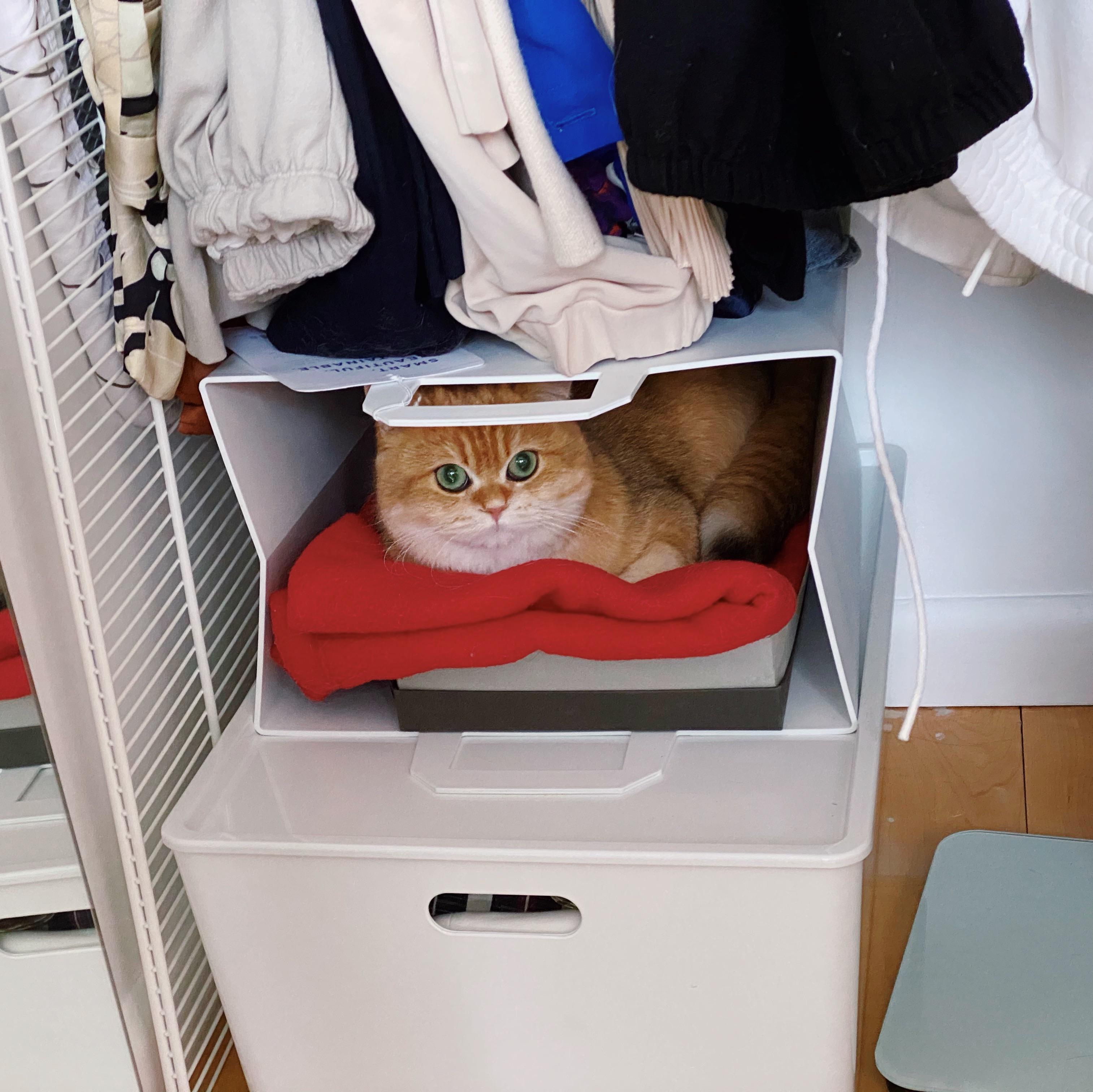 Comfortable in his exclusive tight lounge. | Scrolller