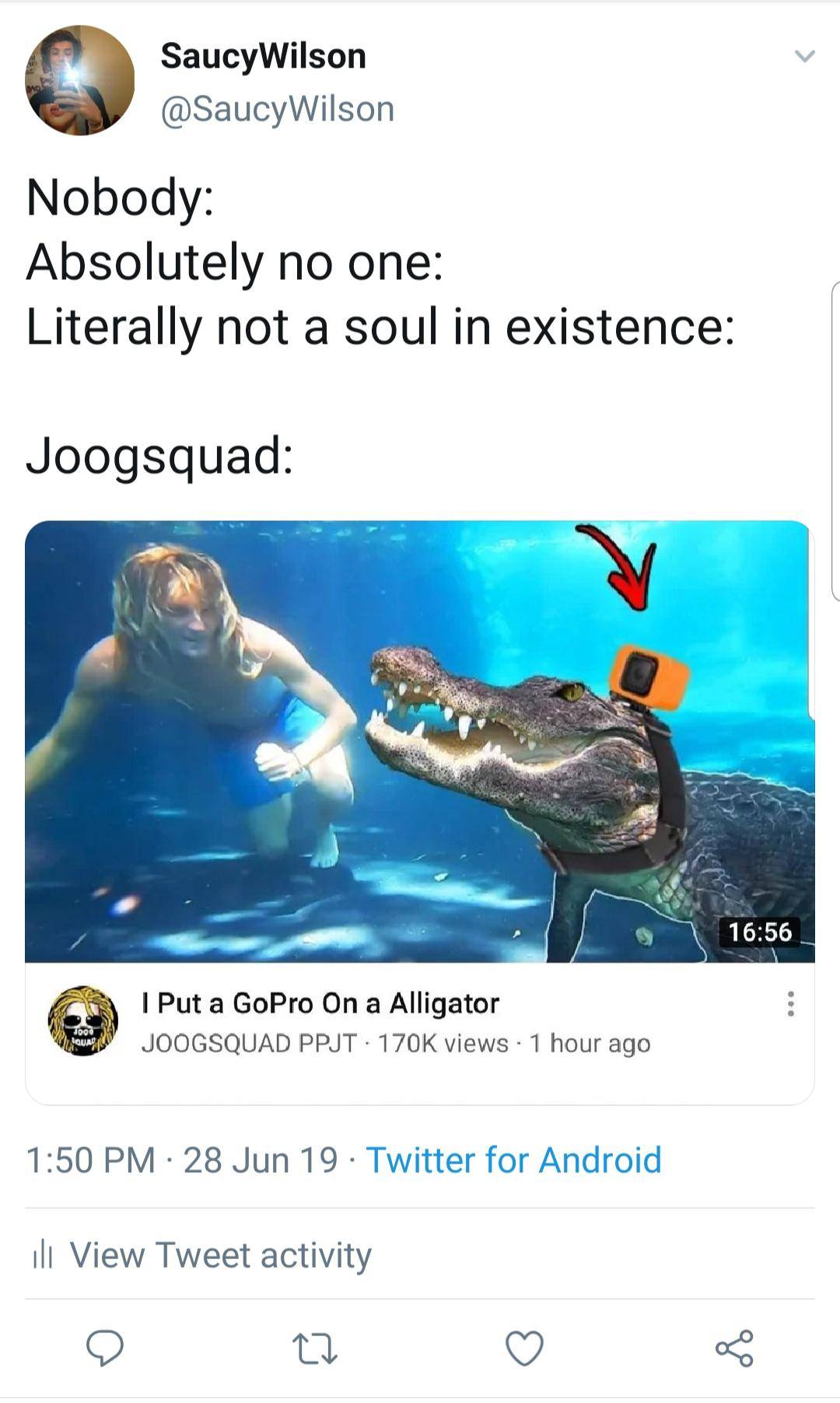 Complete silence | Scrolller