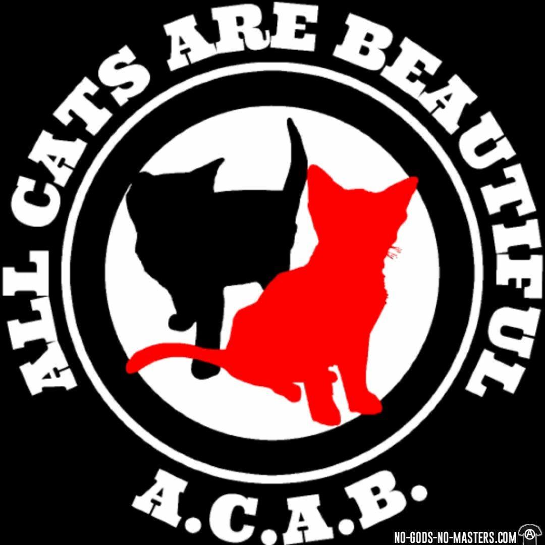 Comrade🐈IRL | Scrolller