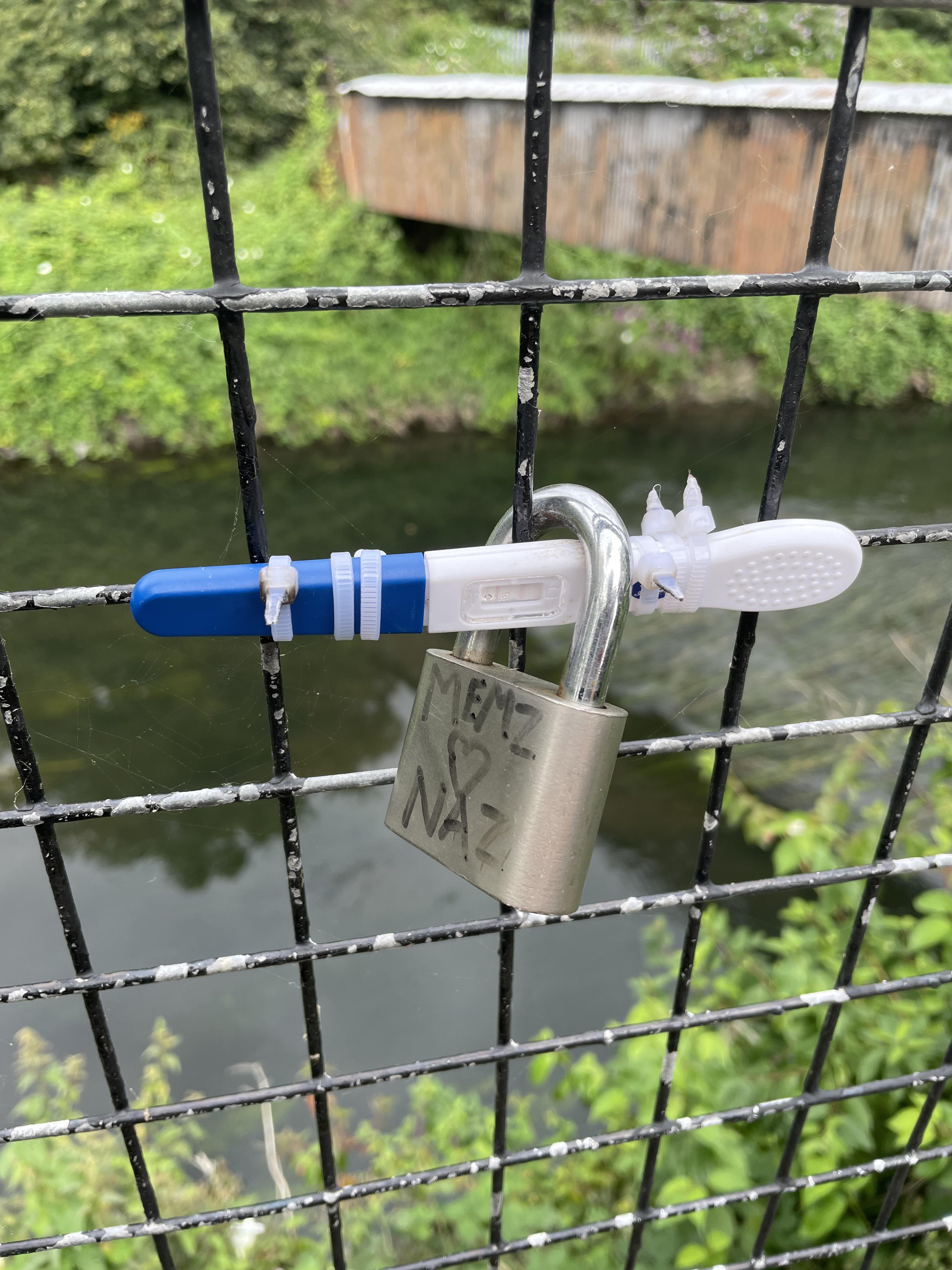 Congrats Memz & Naz | Scrolller