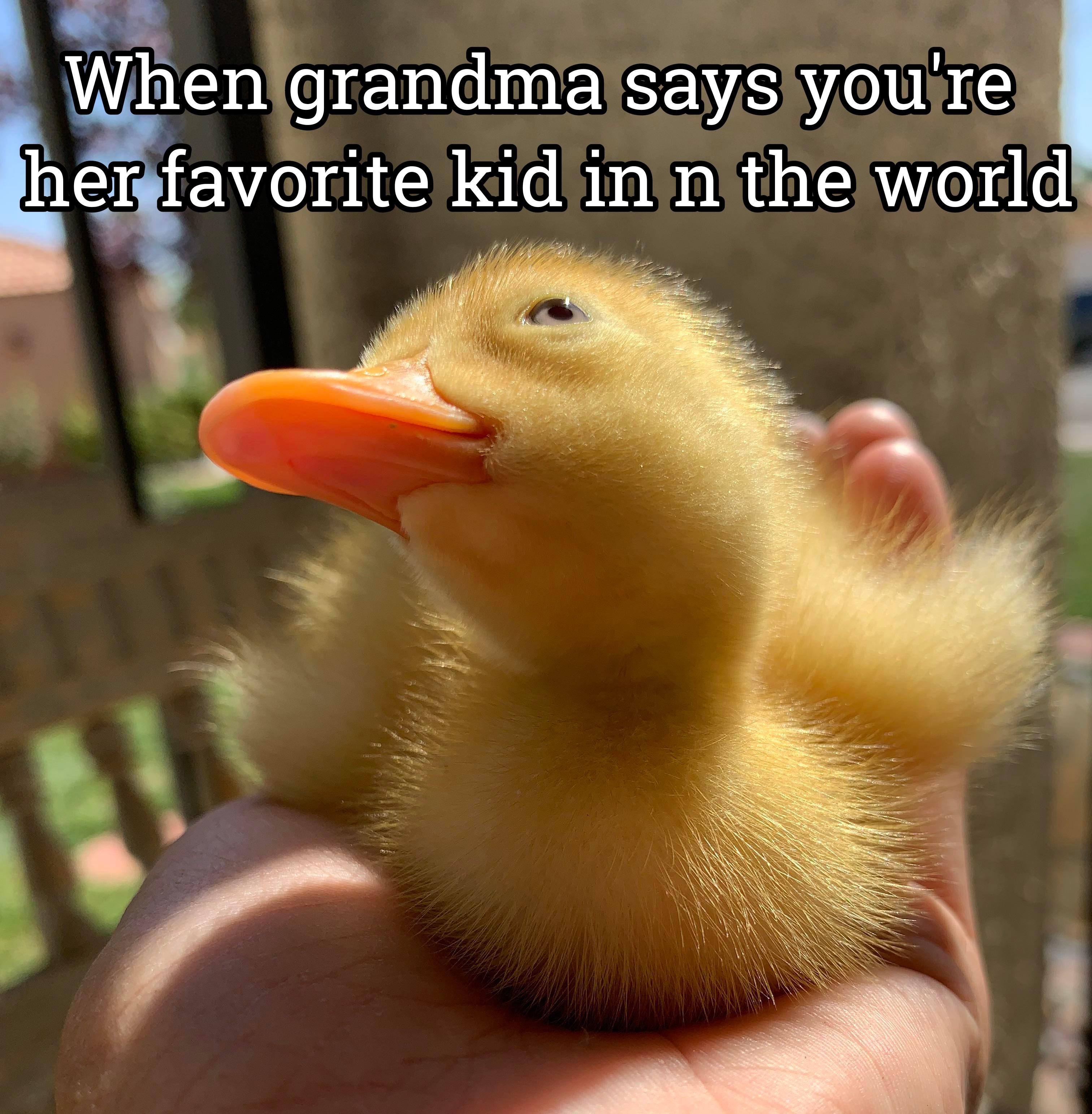 Cookies and milk please | Scrolller