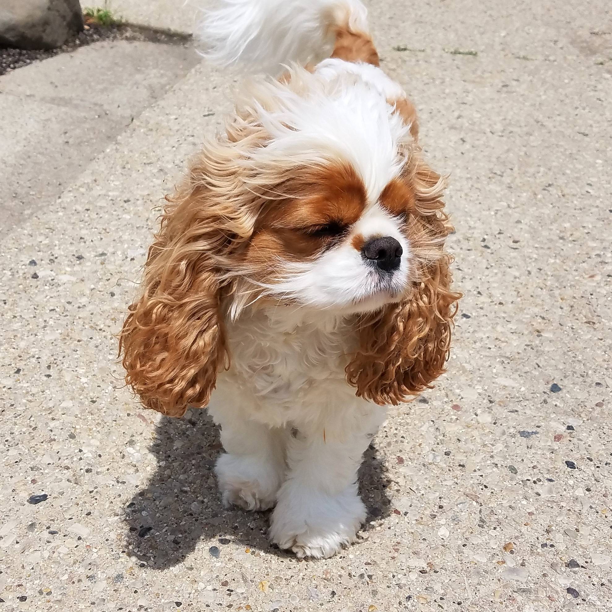 Cool breeze in the ears | Scrolller