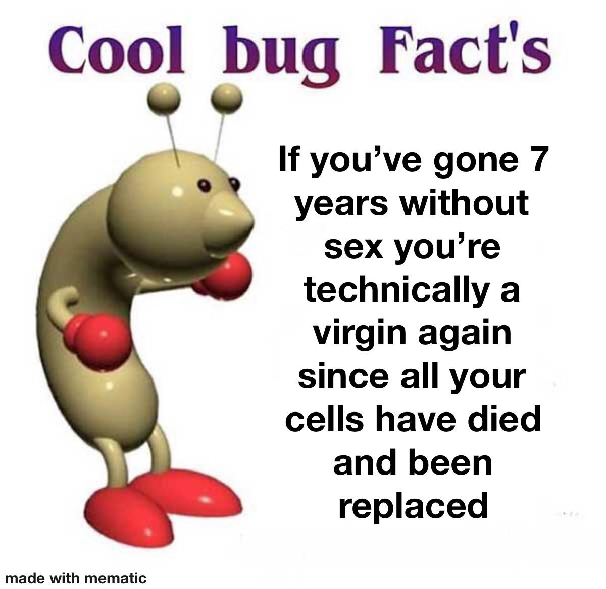 Cool bug facts, this is oc | Scrolller