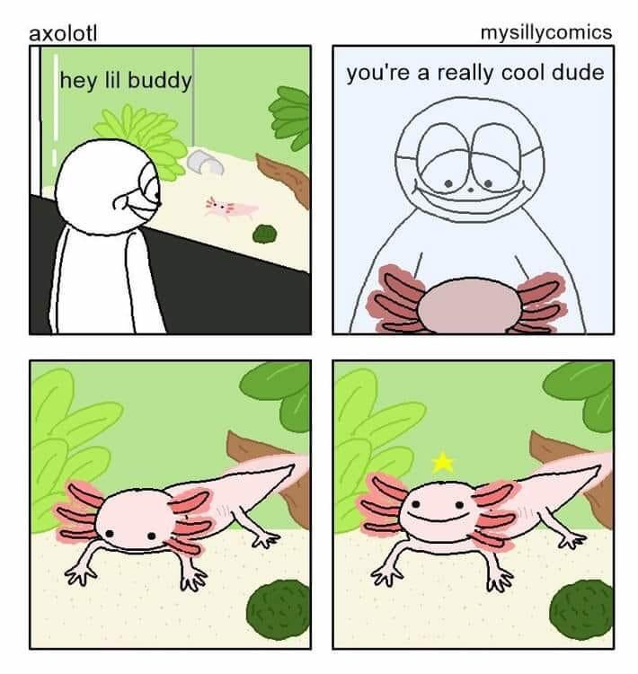 Cool dude | Scrolller