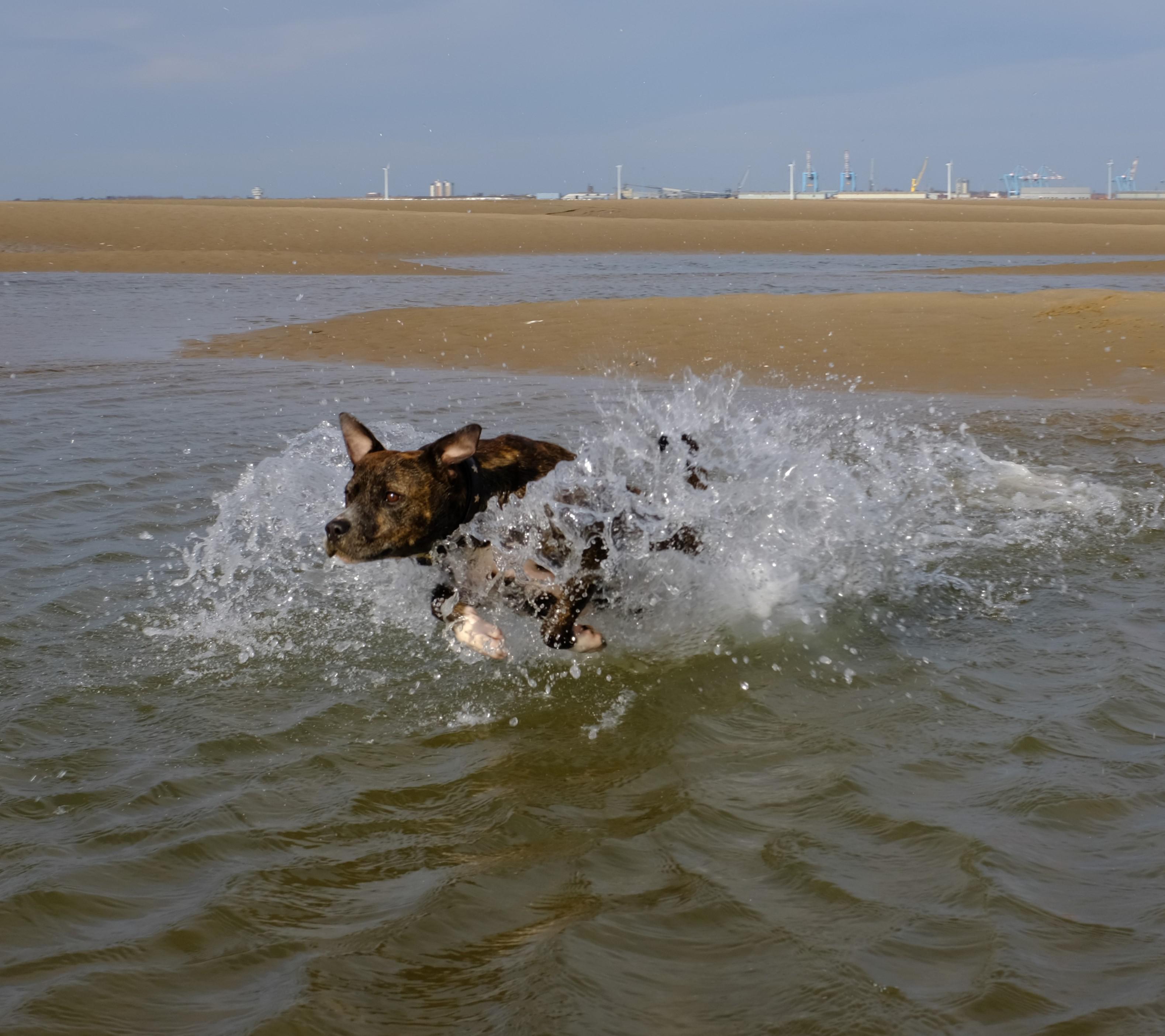 Cooling down during the heatwave | Scrolller