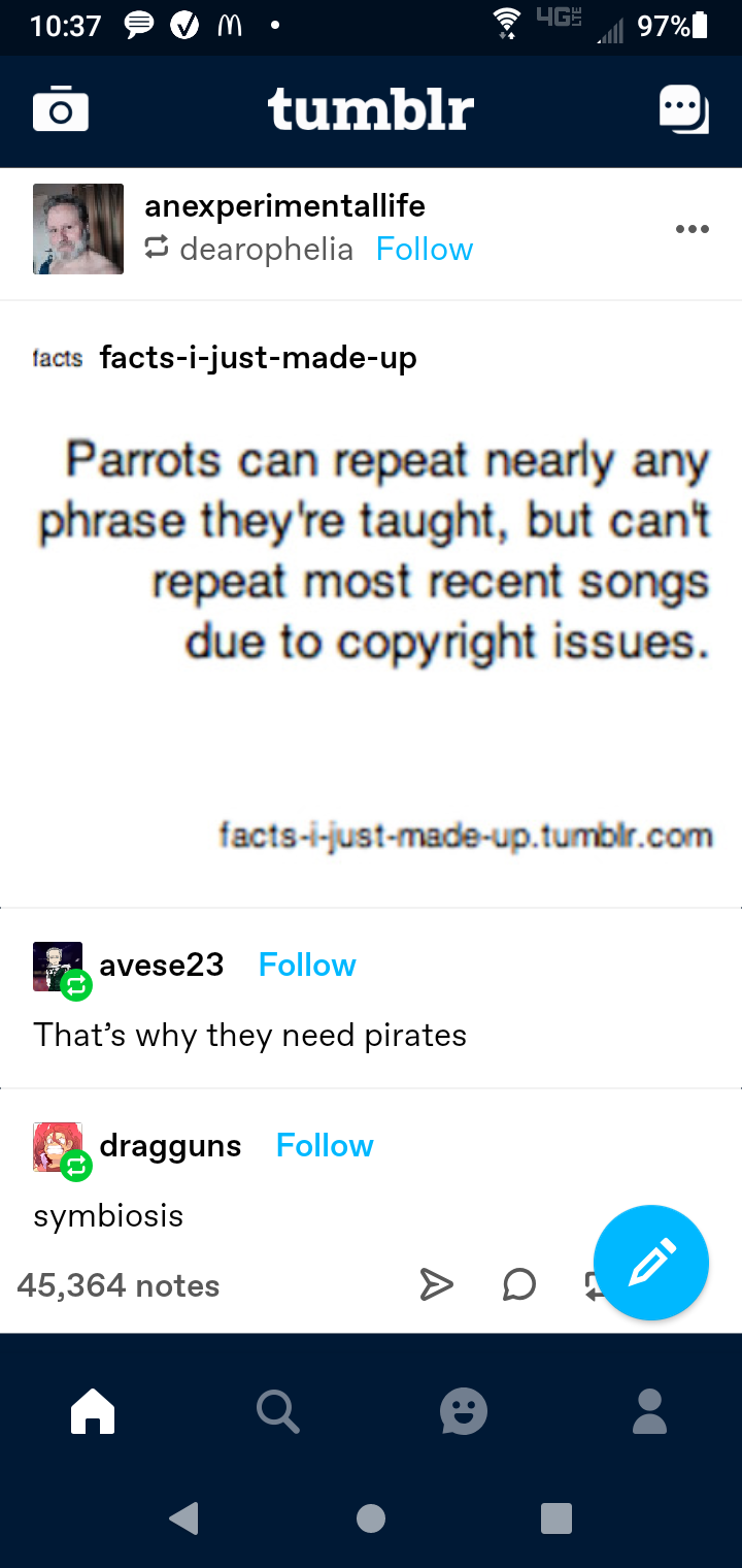 Copyright | Scrolller