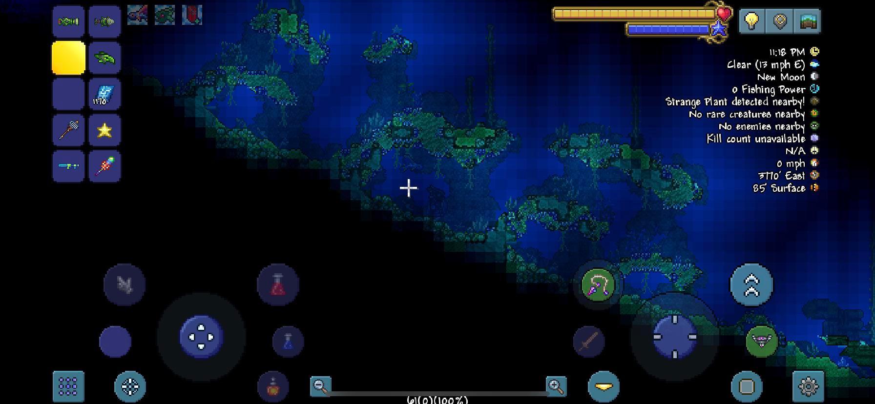 Coral reef | Scrolller