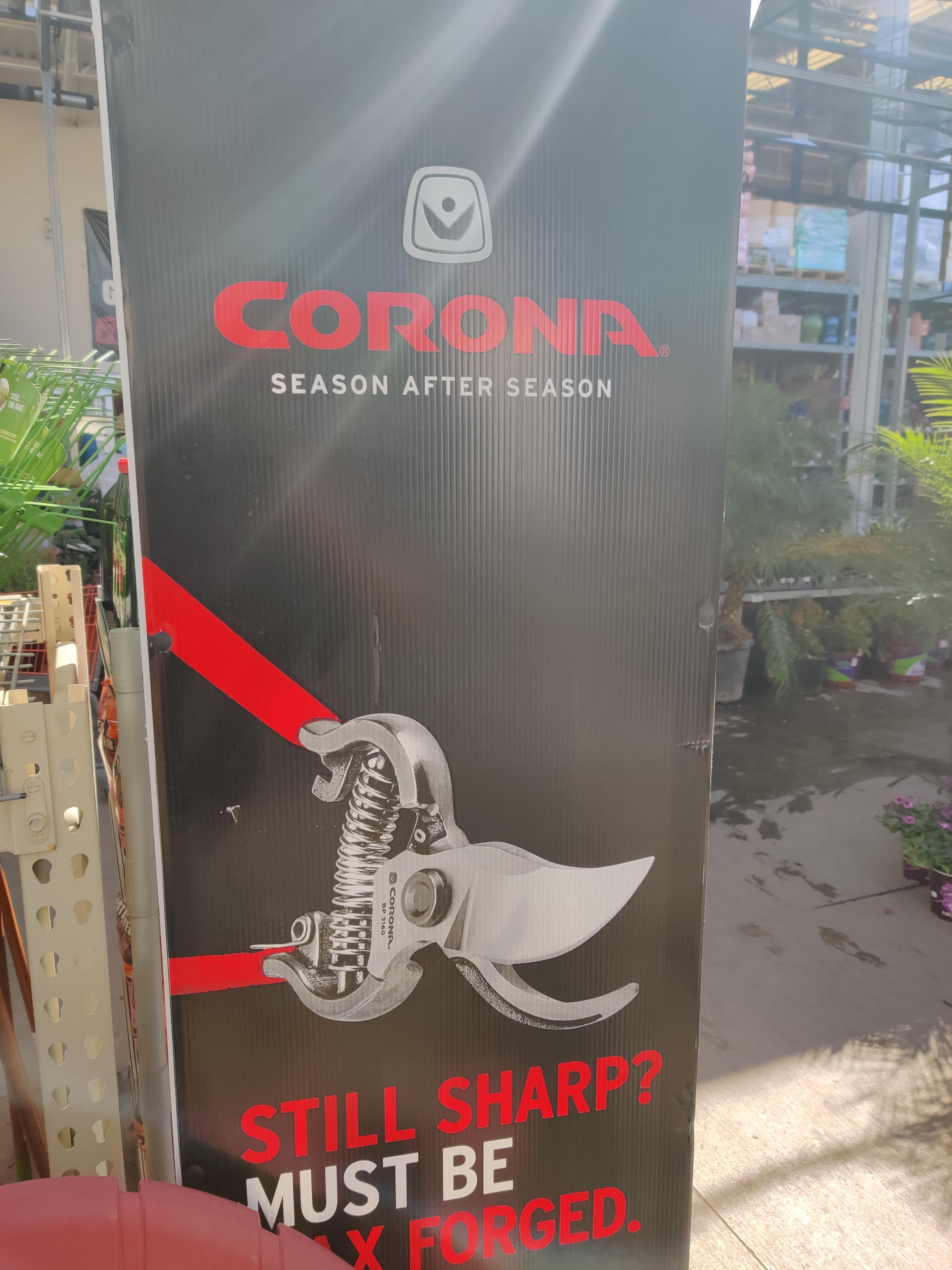 Corona: season after season | Scrolller