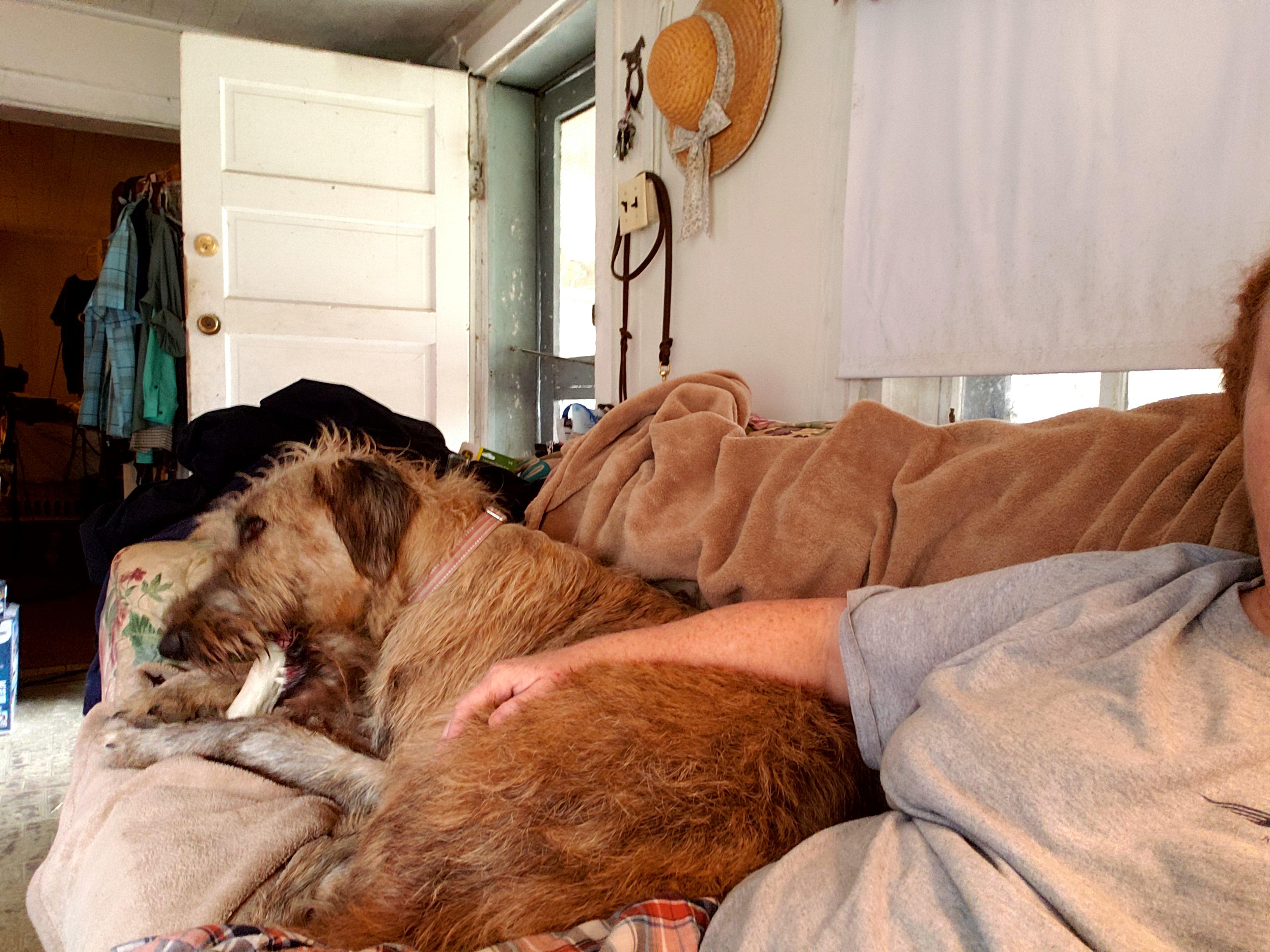 Couch cuddle and a bone makes a good morning even better | Scrolller