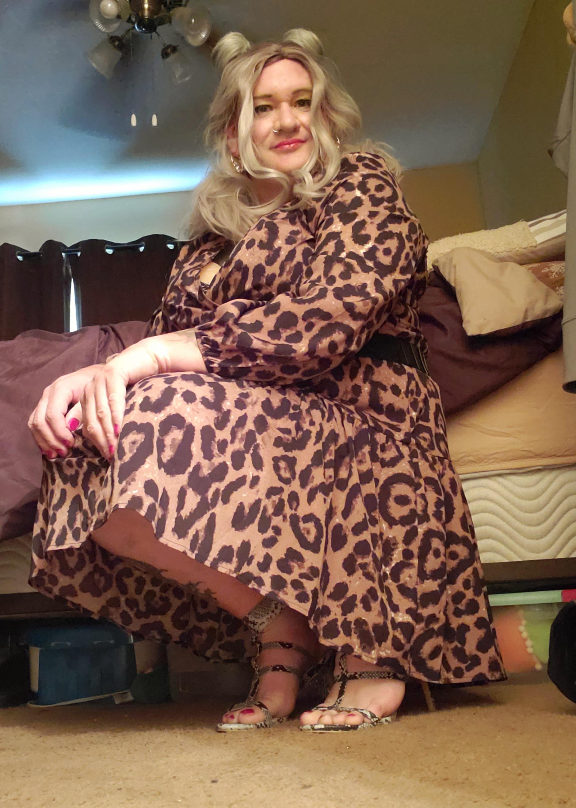 Cougar on the prowl... rowr! | Scrolller